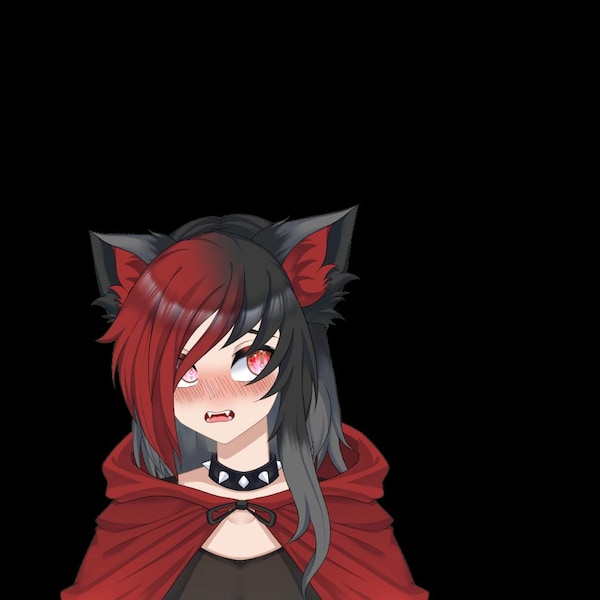 Benutzerdefinierte Pfp, PFP Coupion, PFP für Twitch, Vtuber pfp, Profil ...