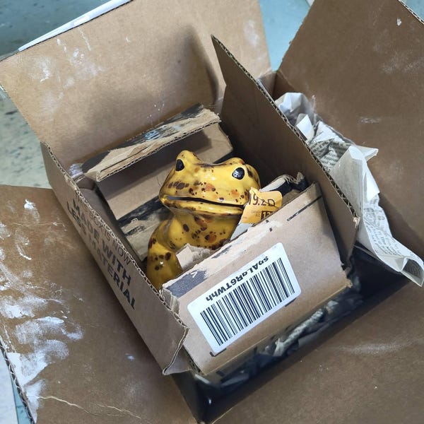 CUSTOM Painted Ceramic Arnel Toad Toilet Paper Holder LARGE - Etsy