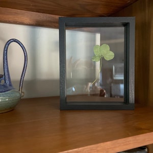 Matte Black Double Glass Floating Frame, Pressed Flower Frames for ...