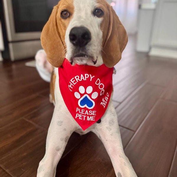 Sky's Skadana, Custom Working Dog/pet Bandana With Paw Print (U.S ...