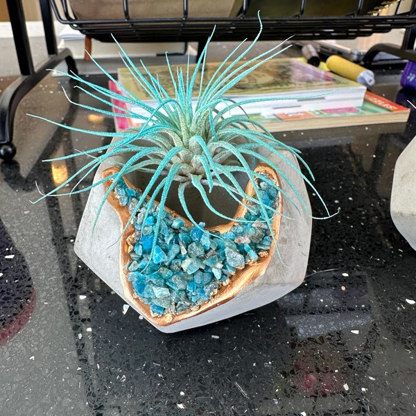 2.5" Mini Geode Plant Pot | Unique Crystal Air Plant Holder | Geometric ...