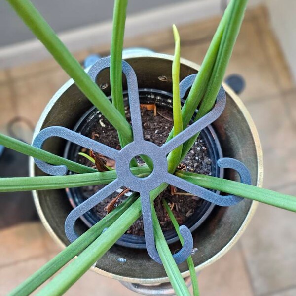 Wall Planter the Wall Poppy With Hidden Drip Tray - Etsy