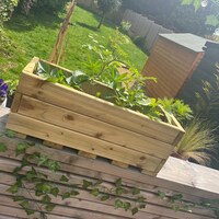 Personalised Gothic Bird Table - Etsy UK