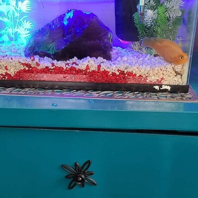 Gemstone Mine Kit Sifter Box Mining Arrowhead Quartz - Etsy