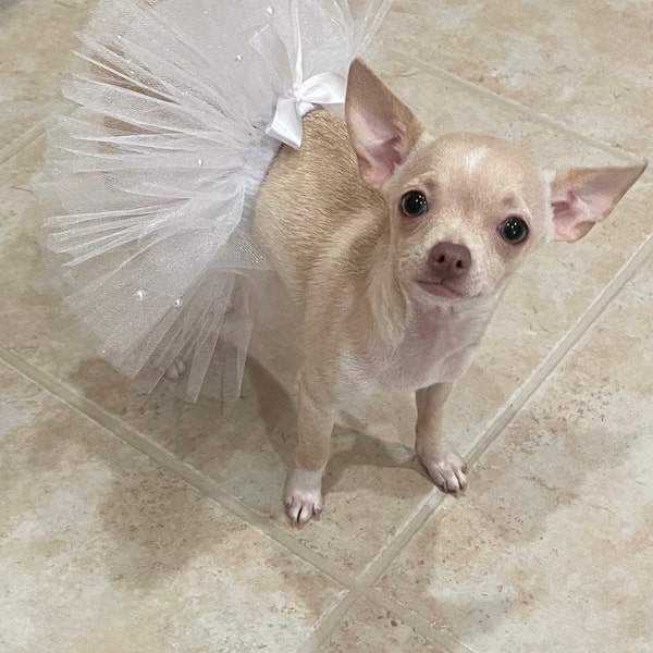 Pearl Sparkle Dog Tutu, Pet Tutu, Pet Clothing, Pet Outfit, Pet Party ...