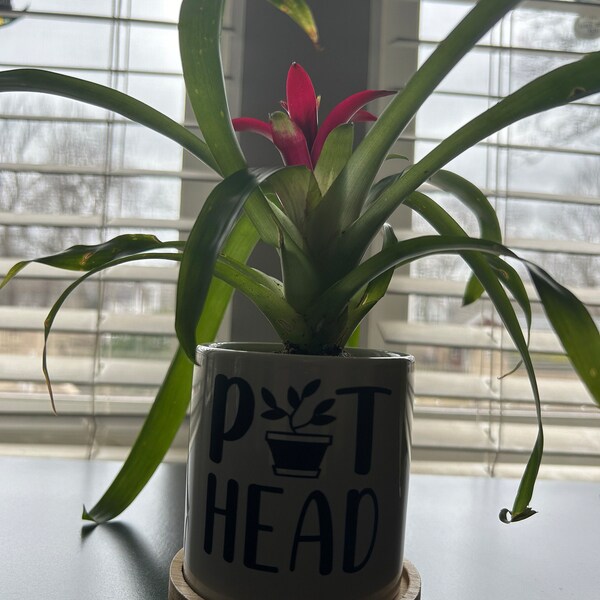 4 Inch Breast Cancer Awareness Terracotta Face Planter Pots With Pink ...