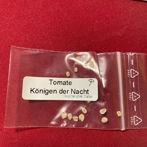 Tomate Akmore Treasure 15+ Samen Schmackhafte gelbe Ertragreiche ...