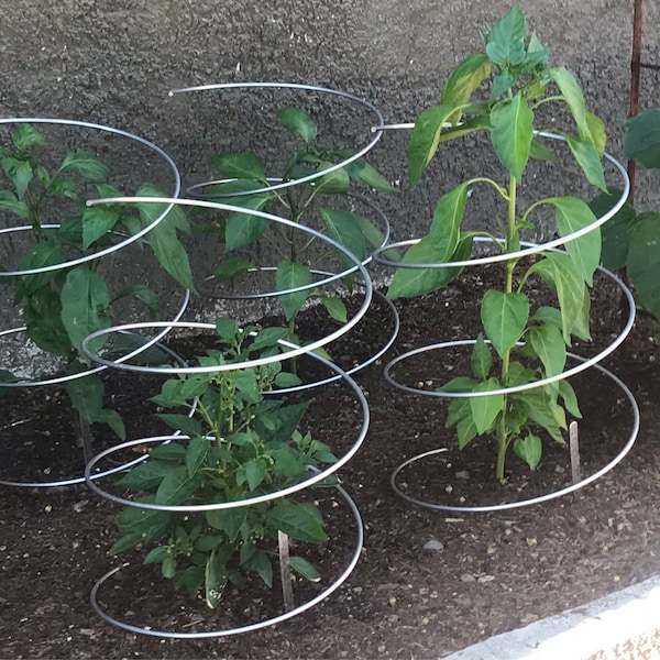 The Original 24-hole Soil Digger and Soil Spacer for Planting Seeds ...