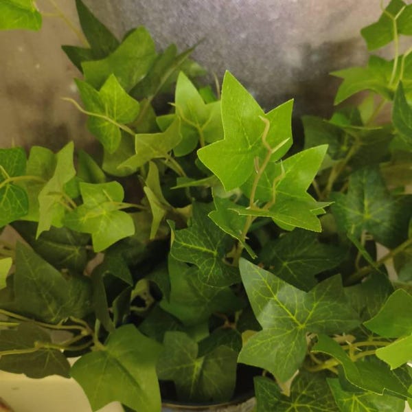 D Stevens, 10 Yards, 2.5 Inch Wired Ribbon, Faux Fur Ribbon, Green Fur ...