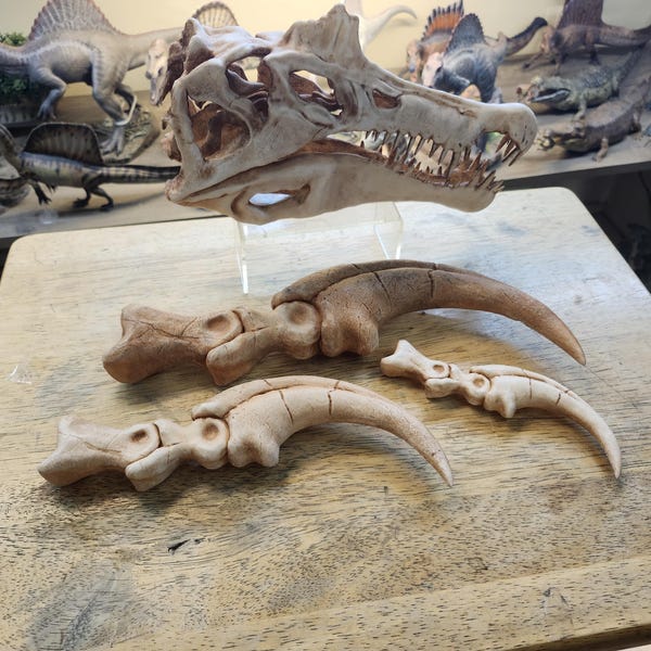 Velociraptor Replica Claw 3D Printed - Etsy