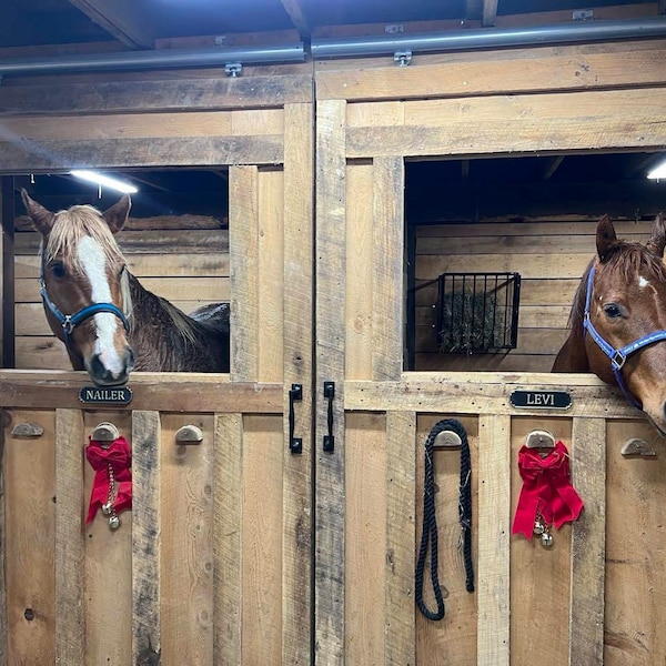 Personalised Stable Door Name Plate | Classic Design | Stall Door Sign ...
