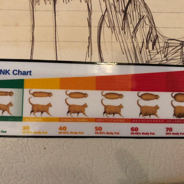 Chonk Chart Vinyl Sticker or Magnet Laptop Stickers MacBook Stickers ...