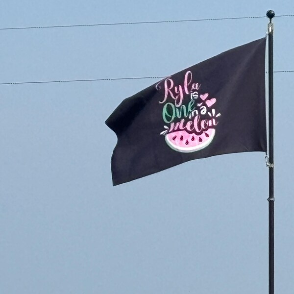 Swamp With Alligator Picture, Louisiana Swamp Wall Hanging, Florida ...