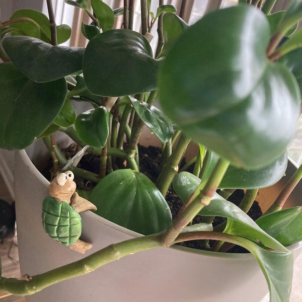 Ceramic Toad House, OOAK, High Fired Frog, Whimsical Toad, Cold Glazed ...