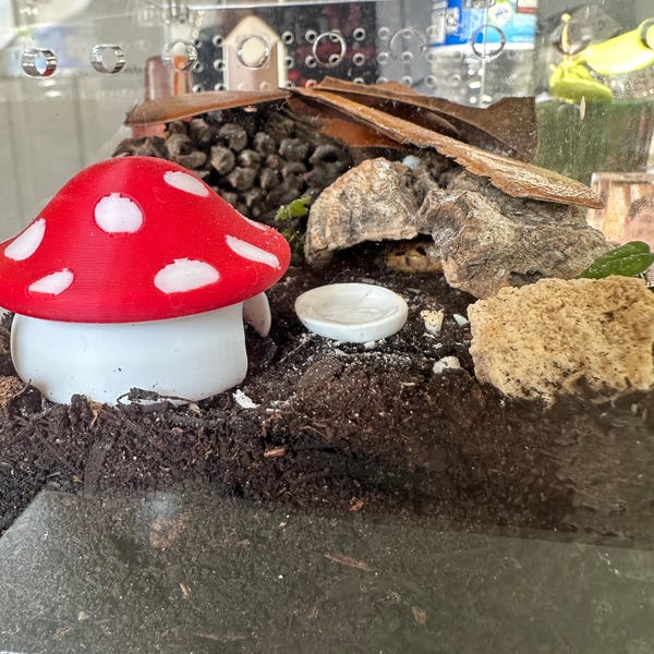MICRO Mushroom Isopod Hide, Woodlice Vivarium Accessory Decor, Gift for ...