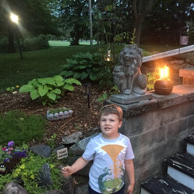 Toad Abode Funny Garden Sign Toad House Garden Sign Cute Gift for ...