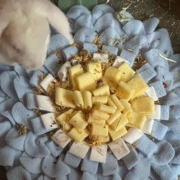 Pink Flower Snuffle Mat for Rabbits, Guinea Pigs, Dogs and Other Pets | Enrichment Toy ...