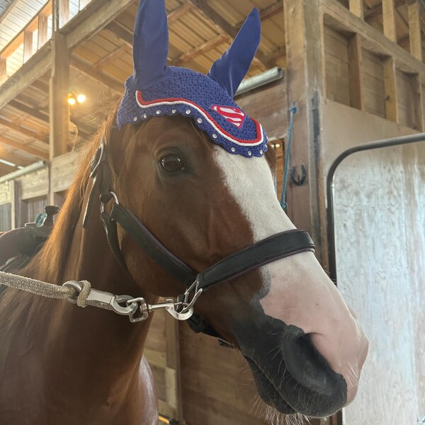 Shires Ladies Stainless Steel Plastic Roller Ball Spurs
