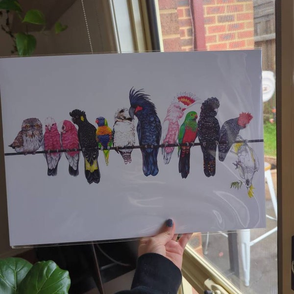 Australian Native Seed Pod Poster DIGITAL DOWNLOAD - Etsy