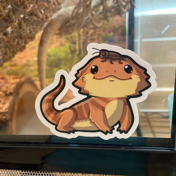 Super Kawaii Bearded Dragon With a Cricket! Adorable Kawaii Reptile ...