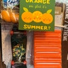 PRINTABLE Orange You Glad It's Summer Orange Gift Tag Mandarin Orange ...
