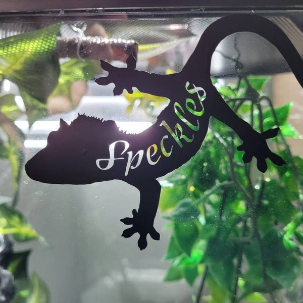 Customizable Name Ball Python Snake Vinyl Decal (READ DESCRIPTION) - Etsy