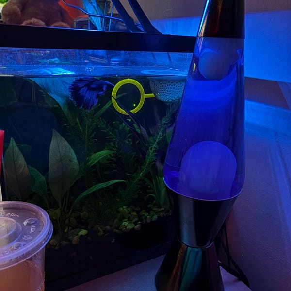 Finnex Stingray Original LED Light Riser, Attractive Stable Elevated ...