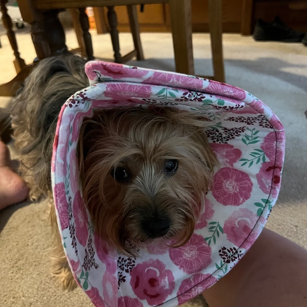 Fabric Dog Cone, Dogs Are My Favorite People, Comfortable Soft Medical ...