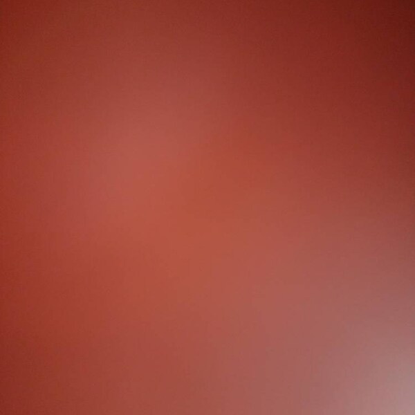 Illustrated Bible Primitive Distressed Leather Bound Family Album Circa ...