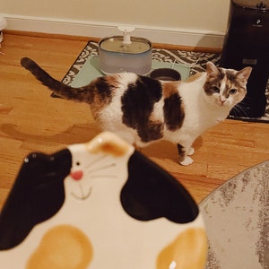 Ceramic Tiger Cat Dishes Can Be a Tea Bag Holder, Spoon Rest or Soap ...