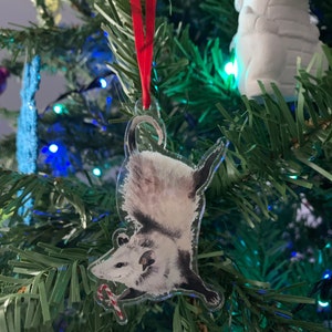 Chipmunks Roasting on an Open Fire, Christmas Card, Happy Holidays Card ...