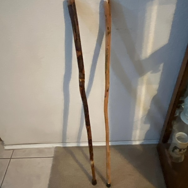 Fractal Burned Lightning Walking Stick, Lichtenberg Fractal Burning ...