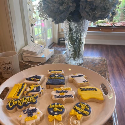 University of Tennessee Sugar Cookies - Etsy