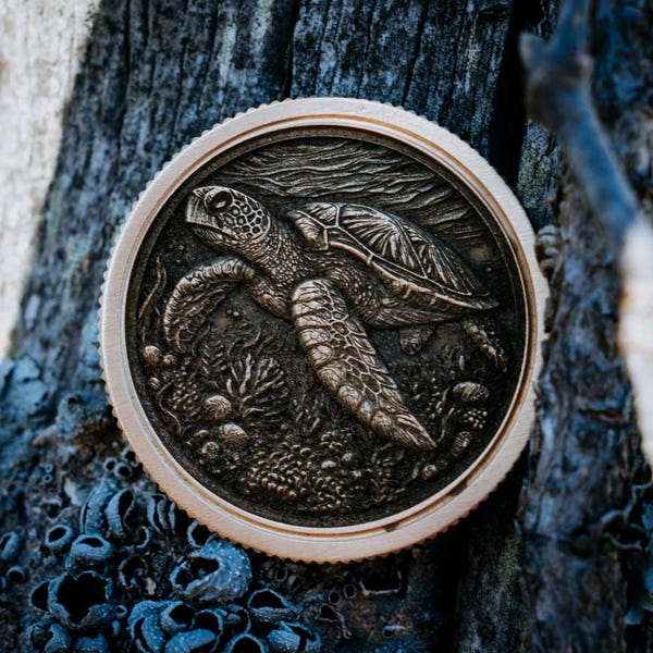 Raven 3D Laser Engrave|depth Map | Height Map | 3D Laser Engraving ...