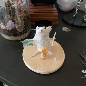 Cunning Linguist Mice - Etsy