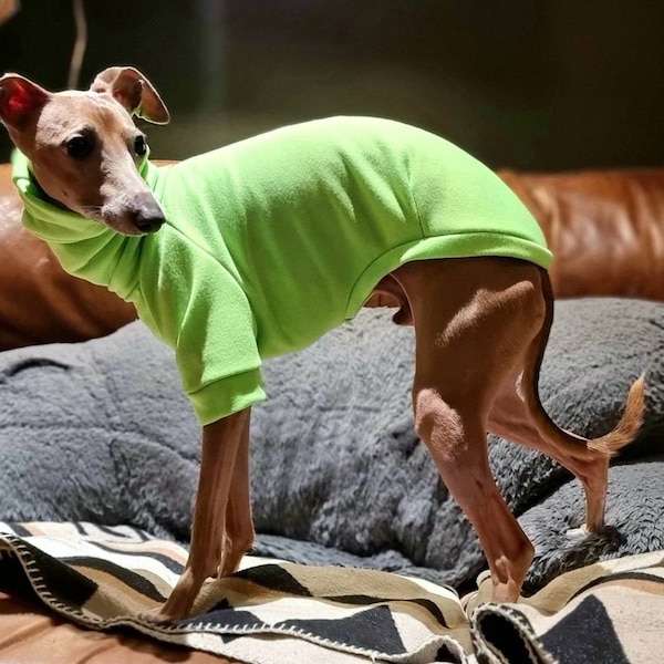 Sewing Pattern for Italian Greyhound Coat / Jacket / Waterproof ...