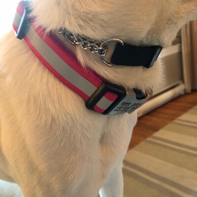 Personalized REFLECTIVE Dog Collar W Laser Engraved Buckle 11 ...