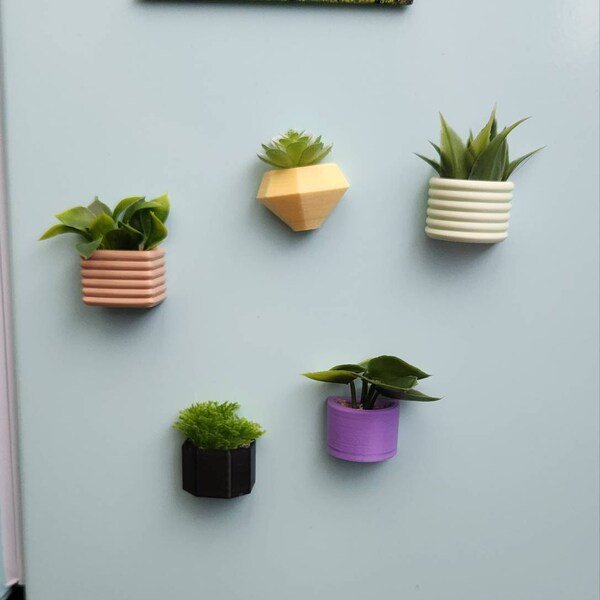 Mini Succulent Fridge Magnet | Planter Fridge Magnet | Plant Lover Gift ...