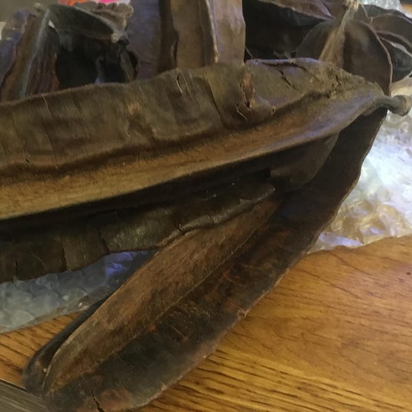 Natural Chewing Sponge,taakotsa,sawie From Ghana (100g) - Etsy