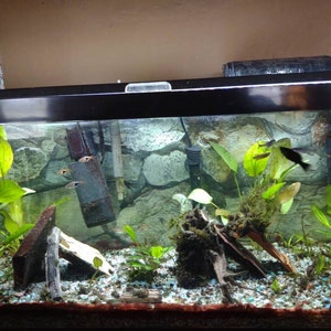 Silver Medley Rock / HD Stone Aquarium Background Rocky Fish Tank ...