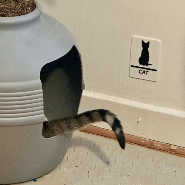 3D Printed Litter Box Sign, Restroom Sign for Cats - Etsy
