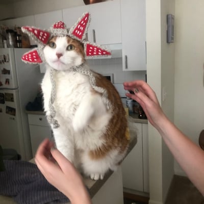 MADE TO ORDER Catogorgon Cat Hat-cat Costumes-cat Hats - Etsy UK