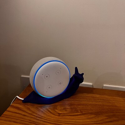 Unique Snail Holder for Amazon Echo Dot 3rd Gen Alexa Stand Mount - Etsy