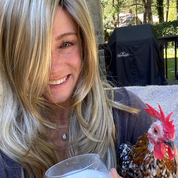 Chicken Harness Early Bird - Etsy