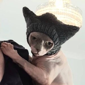 Yellow Cat Hat Hand Knit Sphynx Cat Accessories Pet Winter - Etsy