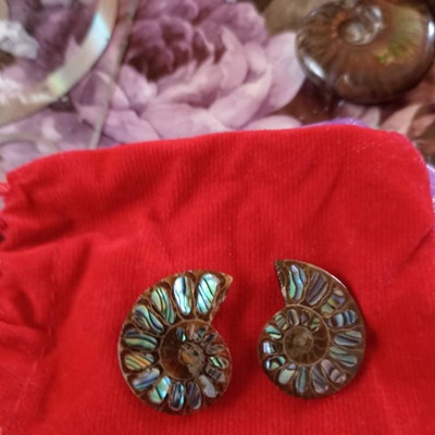 Ammonite Fossil With Abalone Shell Inlay, Rare Abalone Ammonite Inlay ...