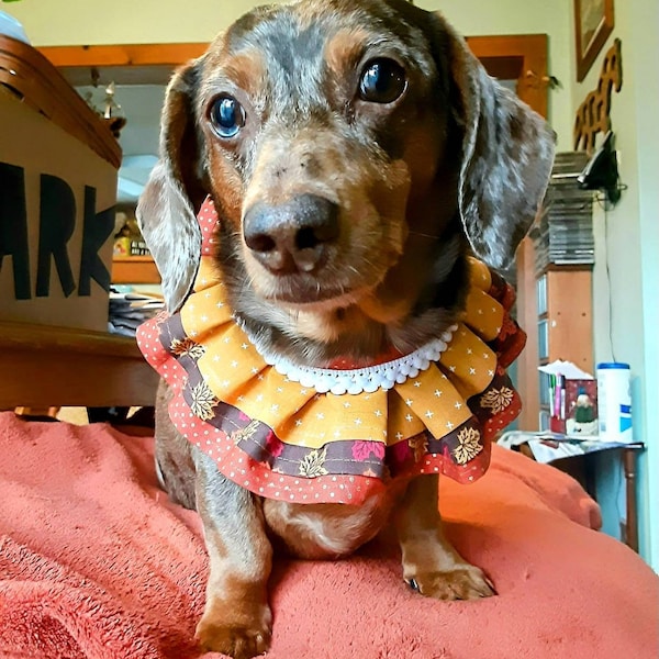 Fall Dog Bandana: Thanksgiving Pet Collar, Handmade, Dog Mom Gift, Pet ...