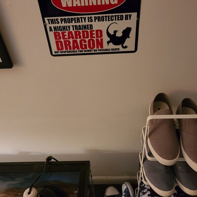 Funny Bearded Dragon Sign Pet Bearded Dragon Sign Bearded Dragon ...