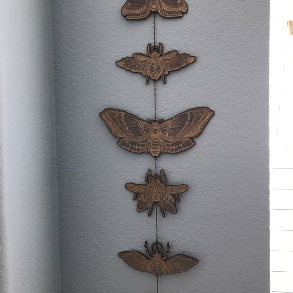 Moth and Beetle Garland, Walnut Bug Wall Hanging, Wooden Insect Home ...