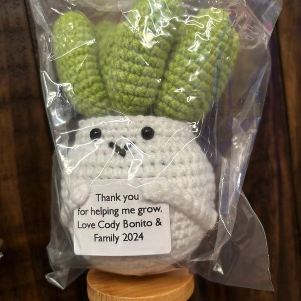 Handmade Crochet Positive Pooh,little Funny Gift,crochet Shit/crap ...